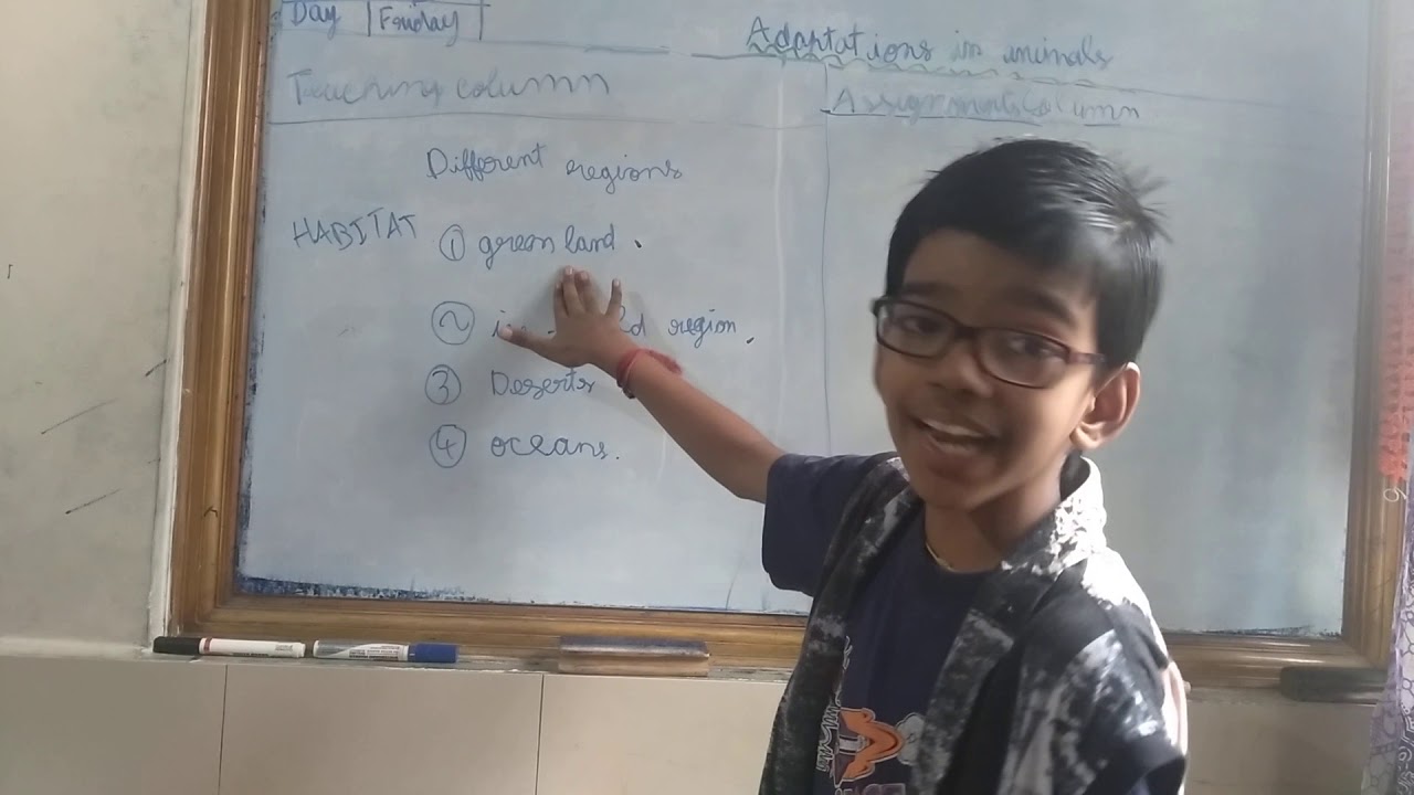 Grade 4 ICSE Science YouTube grade-4-icse-science-youtube
