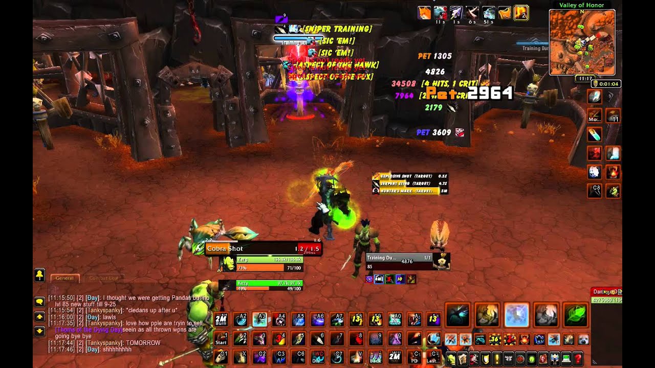 Survival Hunter Rotation 4.3.4 - YouTube