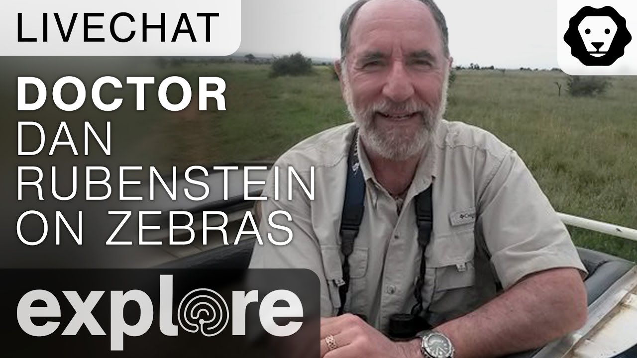 Dr. Dan Rubenstein Live Chat On Zebras 11/28/16 - YouTube