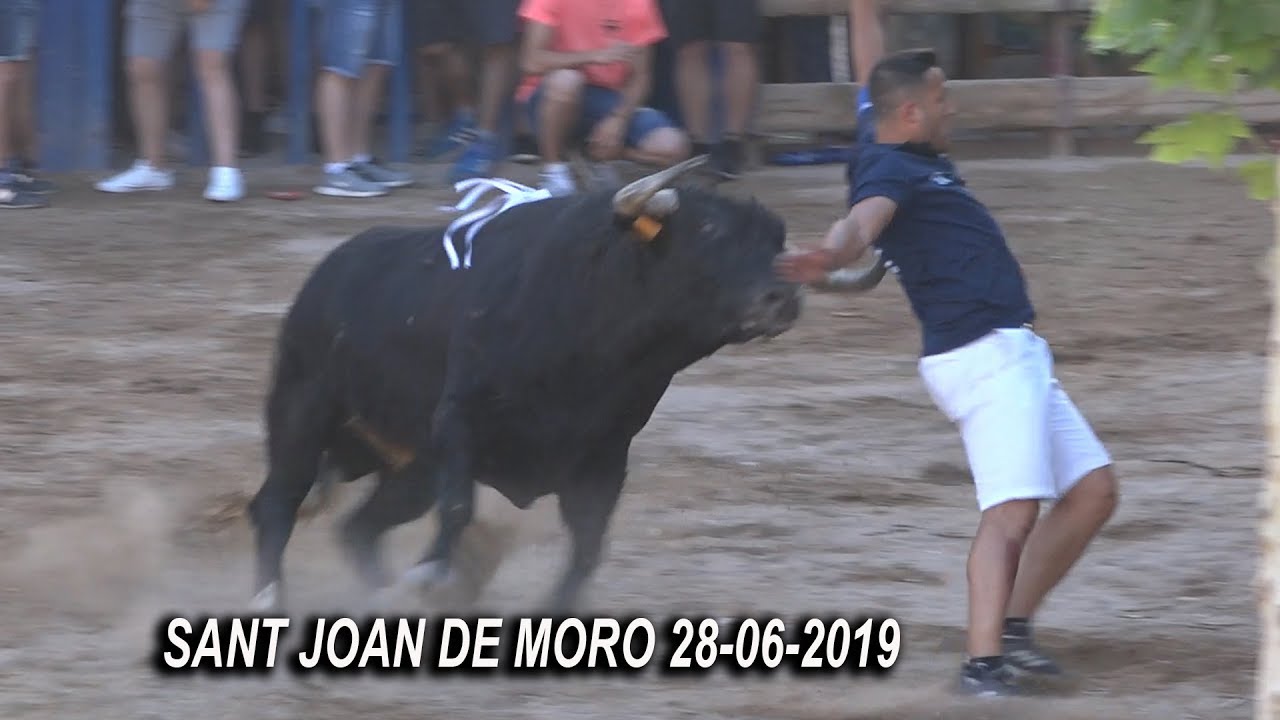 28 06 2019 Sant Joan de Moro VACAS DE HNOS GUILLAMON JACINTO ORTEGA Y ...