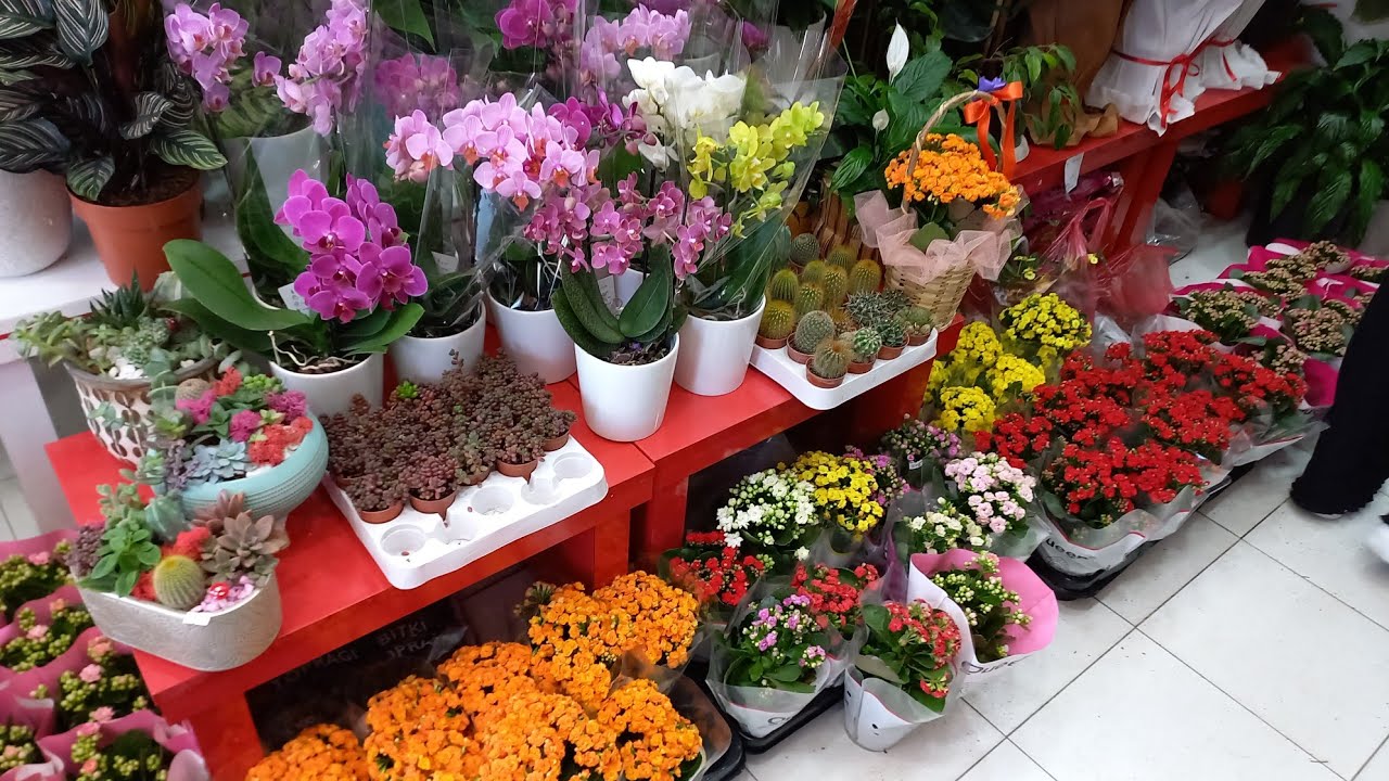 CICEKCI OGRETMENLER GUNU ARAJMAN CICEKLER - YouTube