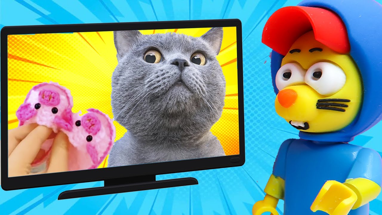 SİZCE KEDİLER AYAKKABI GİYER Mİ - YouTube