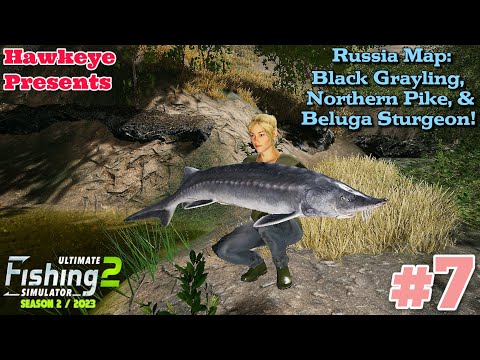 Ultimate Fishing Simulator 2 - Russia Map: Black Grayling, Northern Pike, & Beluga Sturgeon!