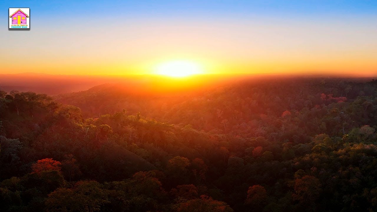 los campos ROJOS de Republica Dominicana SON INCREIBLES - YouTube