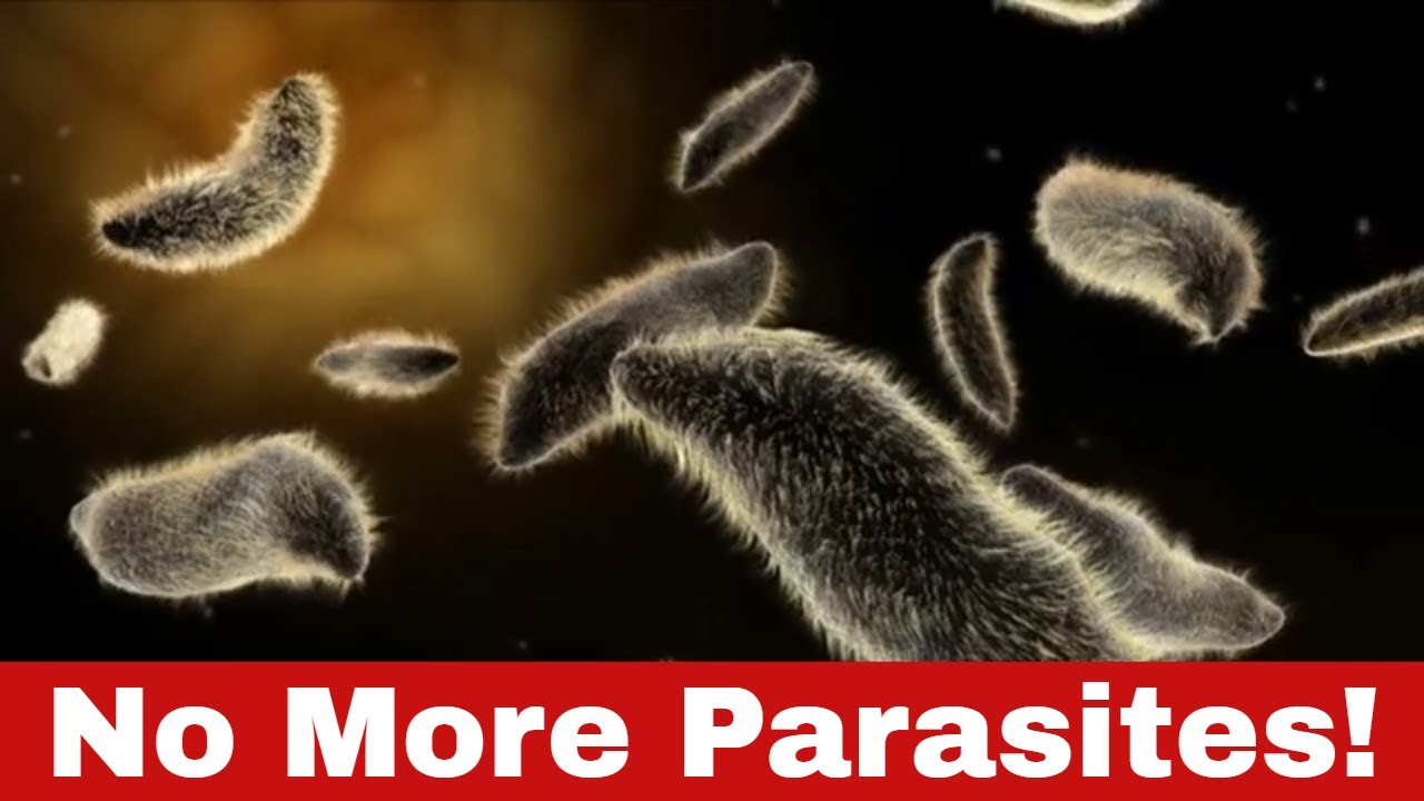 How to Get Rid of Parasites in Humans: 100% Natural Remedies You Need ...