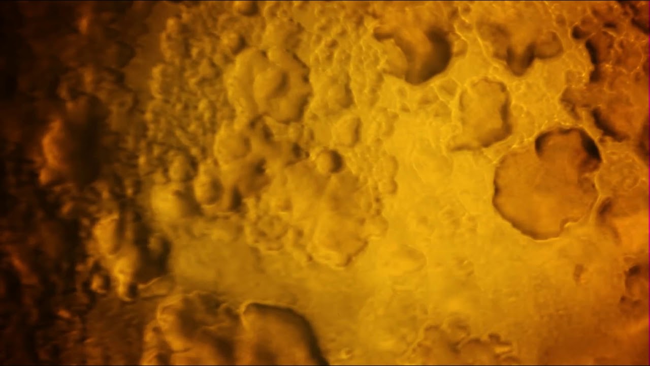 High throughput screening rotor hda singer instruments 1JabqneqXPE ...