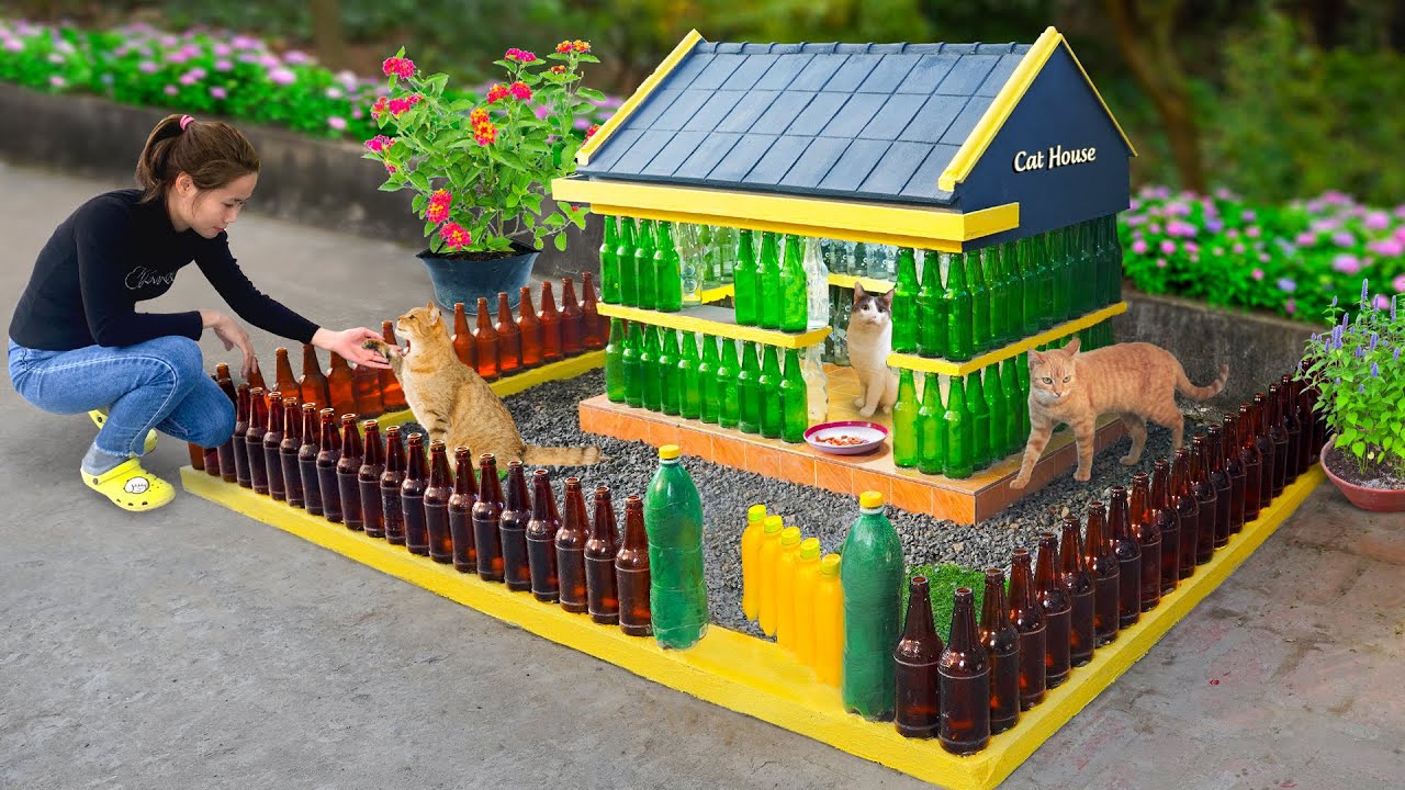 Create new life for old glass bottles | DIY cat house | Recycle project ...