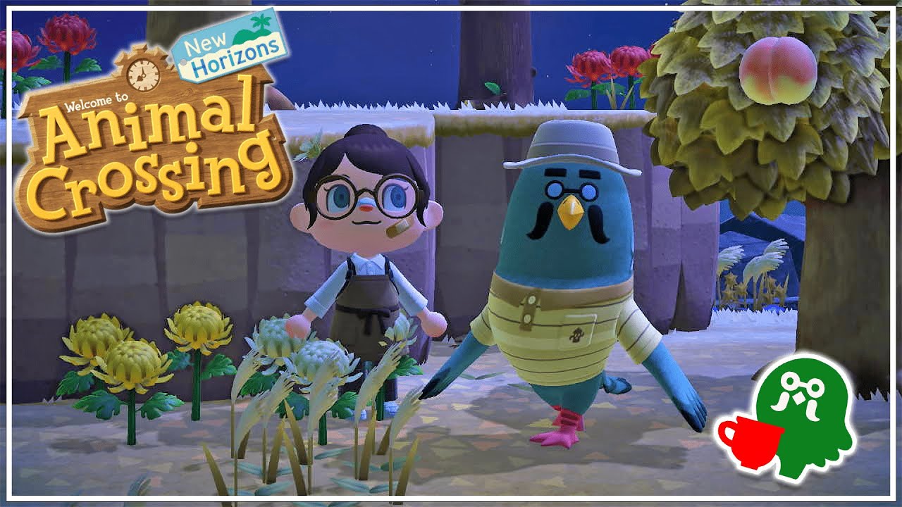Unlocking The Roost in Animal Crossing New Horizons! - YouTube