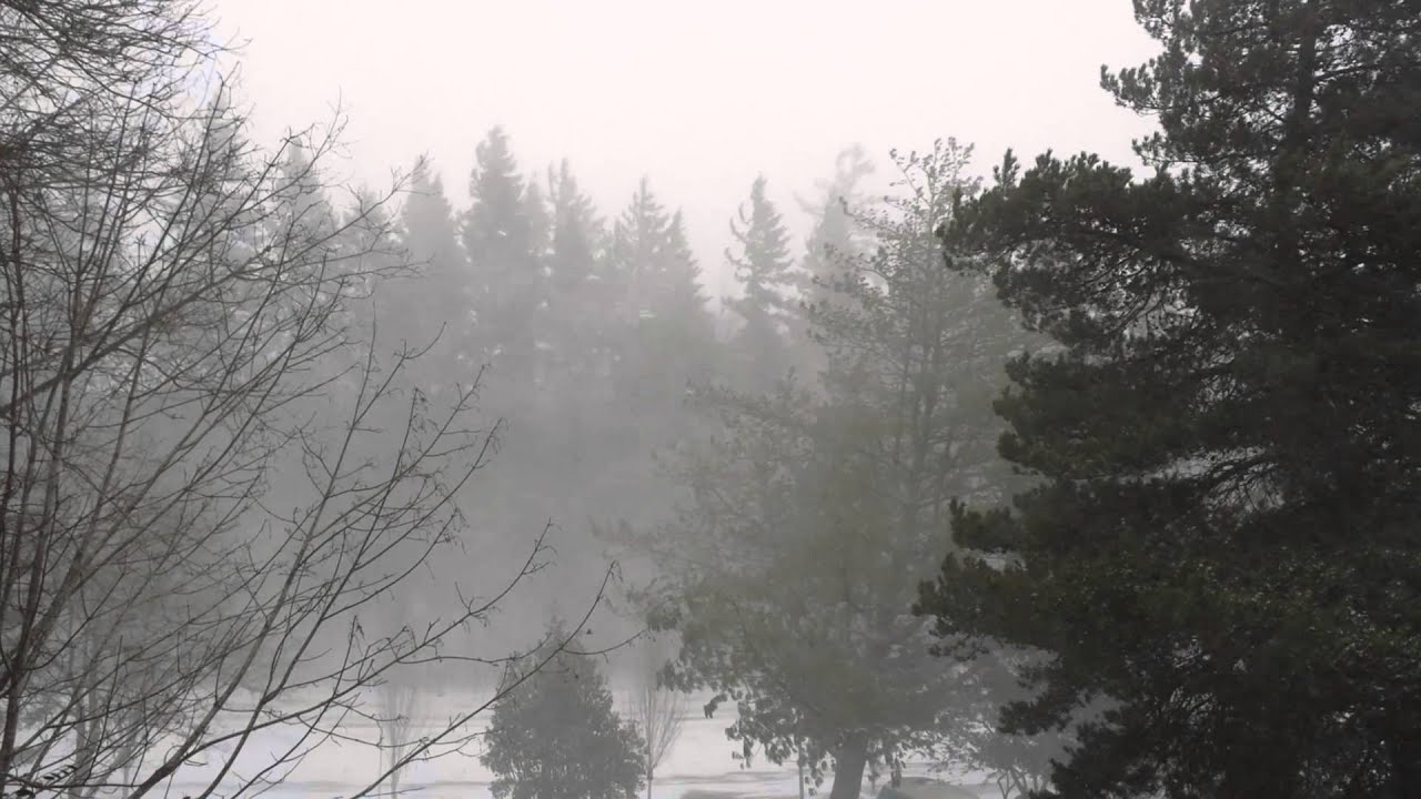 Blizzard in Portland Oregon - YouTube