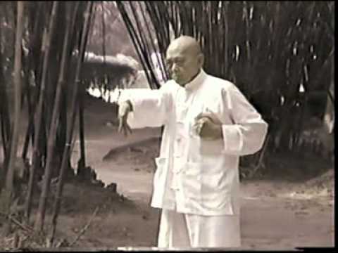 Grand Master Pan Nam (Peng Nan), Siu Lim Tao - YouTube