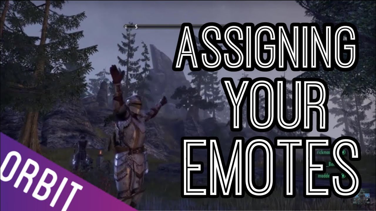 Elder Scrolls Online | How to Assign your Emotes - YouTube