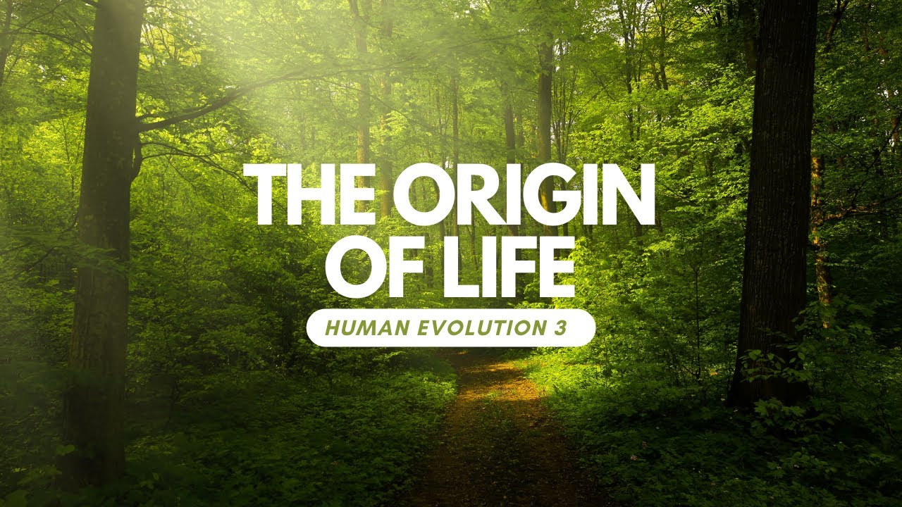The Origin Of Life ( Human Evolution Part 3 ) in Hindi Documentary // Animation Video // - YouTube
