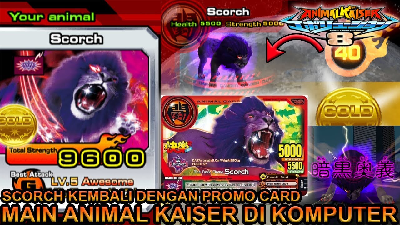 NYOBAIN SCORCH PROMO CARD DI KOMPUTER !!! - ANIMAL KAISER EVOLUTION PC ...