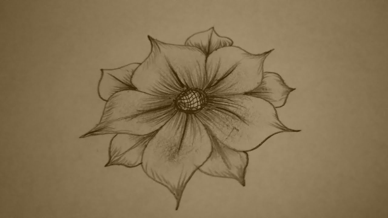 Tekhnik dasar gradasi pada sketsa pencil - YouTube