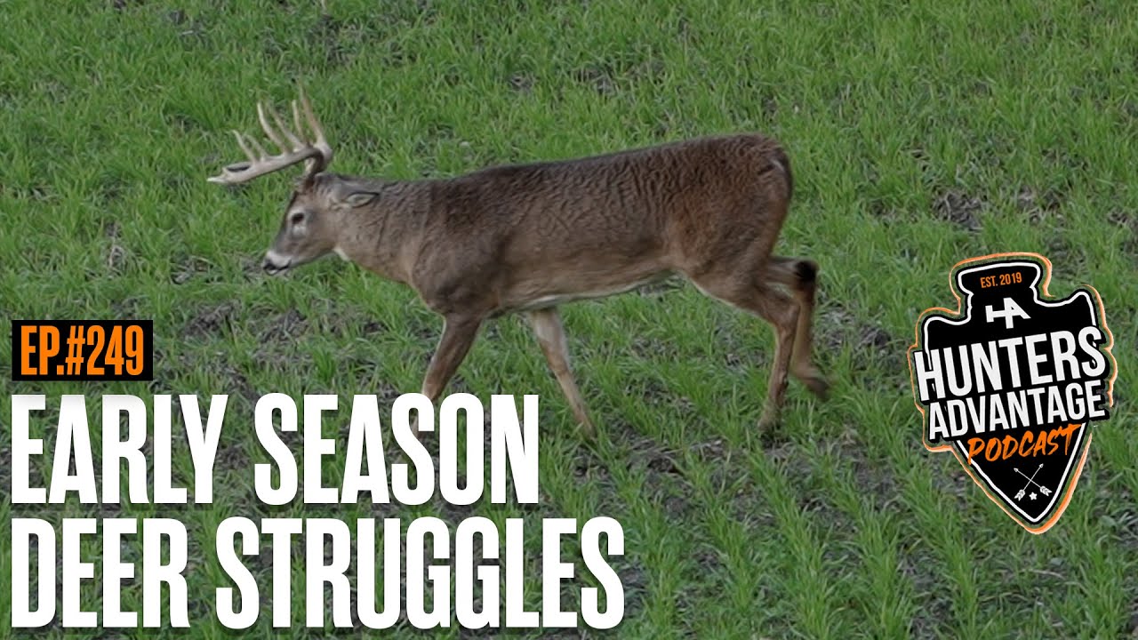 Is Early Season Deer Hunting in the Midwest Easy? - YouTube