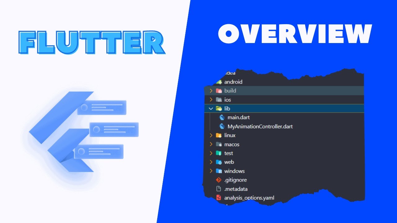 ️ Flutter Project Overview Flutterhero Youtube