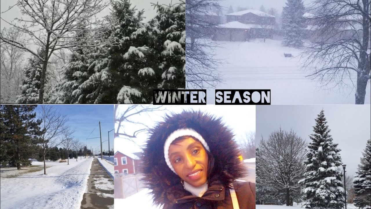 BEAUTIFUL WINTER, SNOW FALL SEASON 🥶 - YouTube