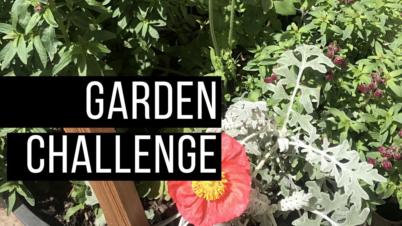 The Great Garden Experiment CHALLENGE - YouTube