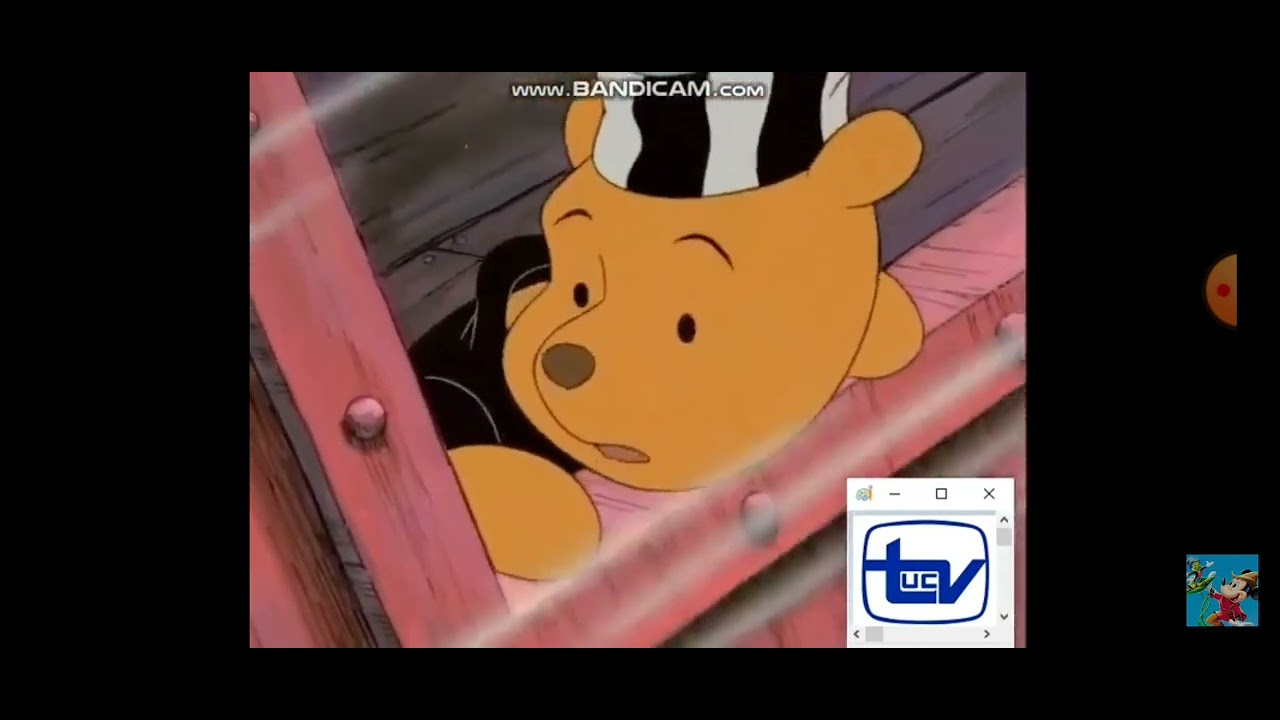 Estamos Viendo Las Nuevas Aventuras De Winnie Pooh Sigue Teletubbies ...