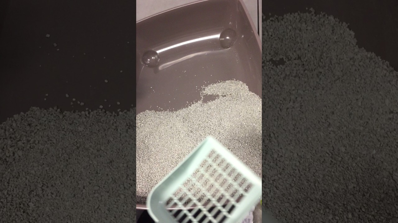 LD 12 Clump Test - YouTube