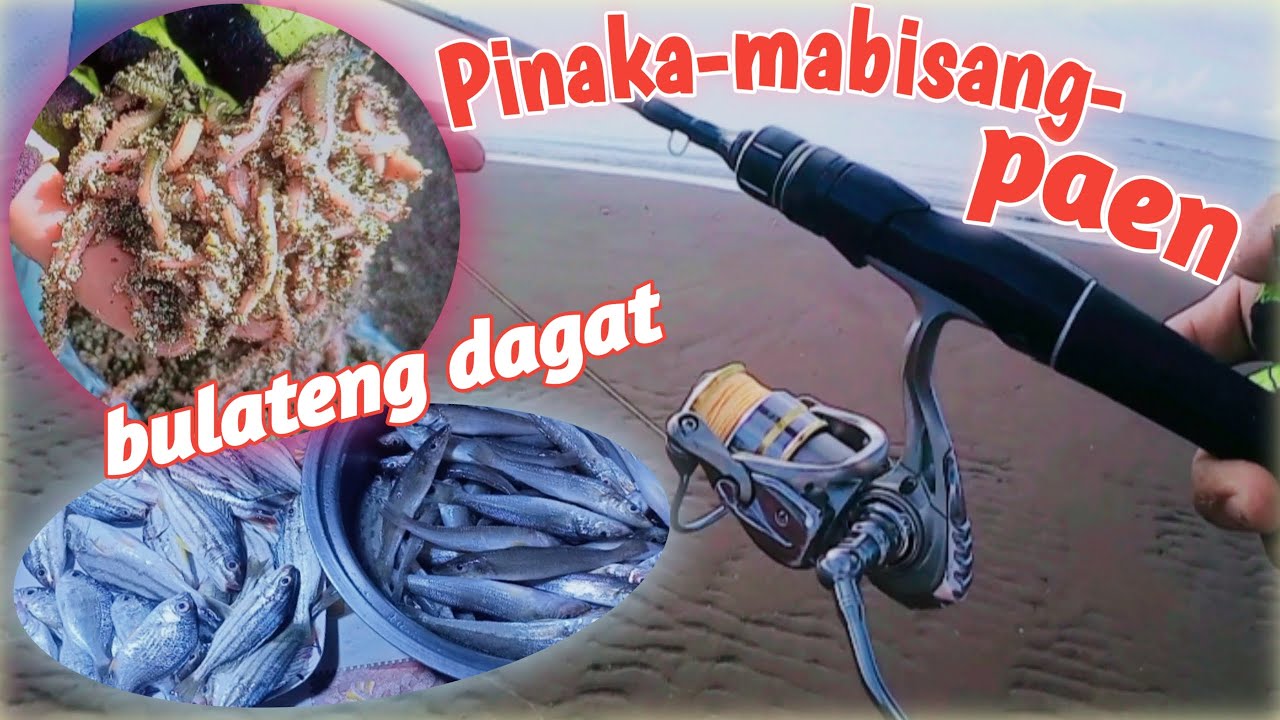 PINAKA - MABISANG PAMAEN PARA SA ASUHOS | SHORE BAIT FISHING / CATCHING ...
