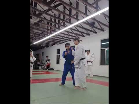 Megumi Ishikawa visits to San Gabriel Dojo in Fall of 2026
