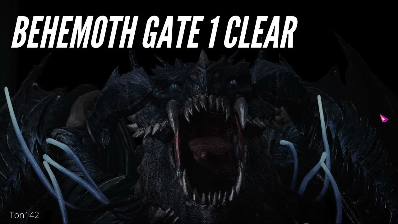 Lost Ark FIRST Behemoth Gate 1 Clear! | 1635 Paladin POV - YouTube