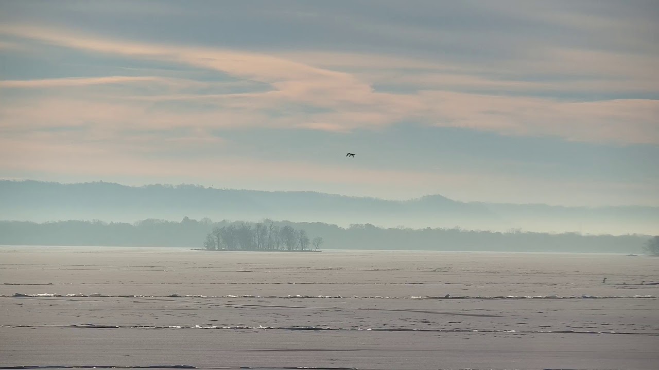 Mississippi River Flyway Cam