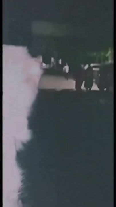 #dog #doglover #viral guys ham log ja rahe Hain doctor ke pass scooty dog ki medicine Lene - YouTube