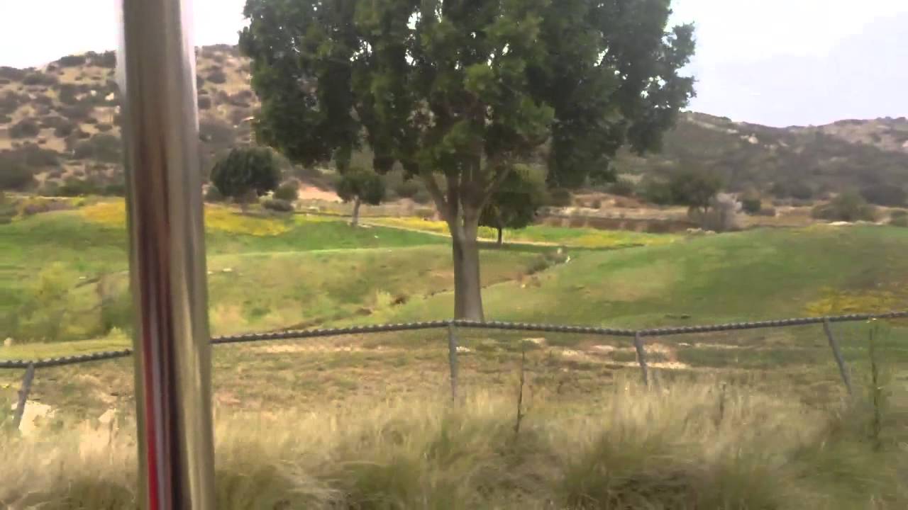 San Diego Zoo Safari Park African Tram pt 2 - YouTube