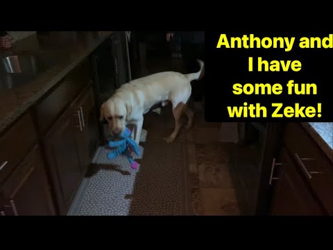 My Twin Brother, Anthony and I have some fun with Zeke! - YouTube