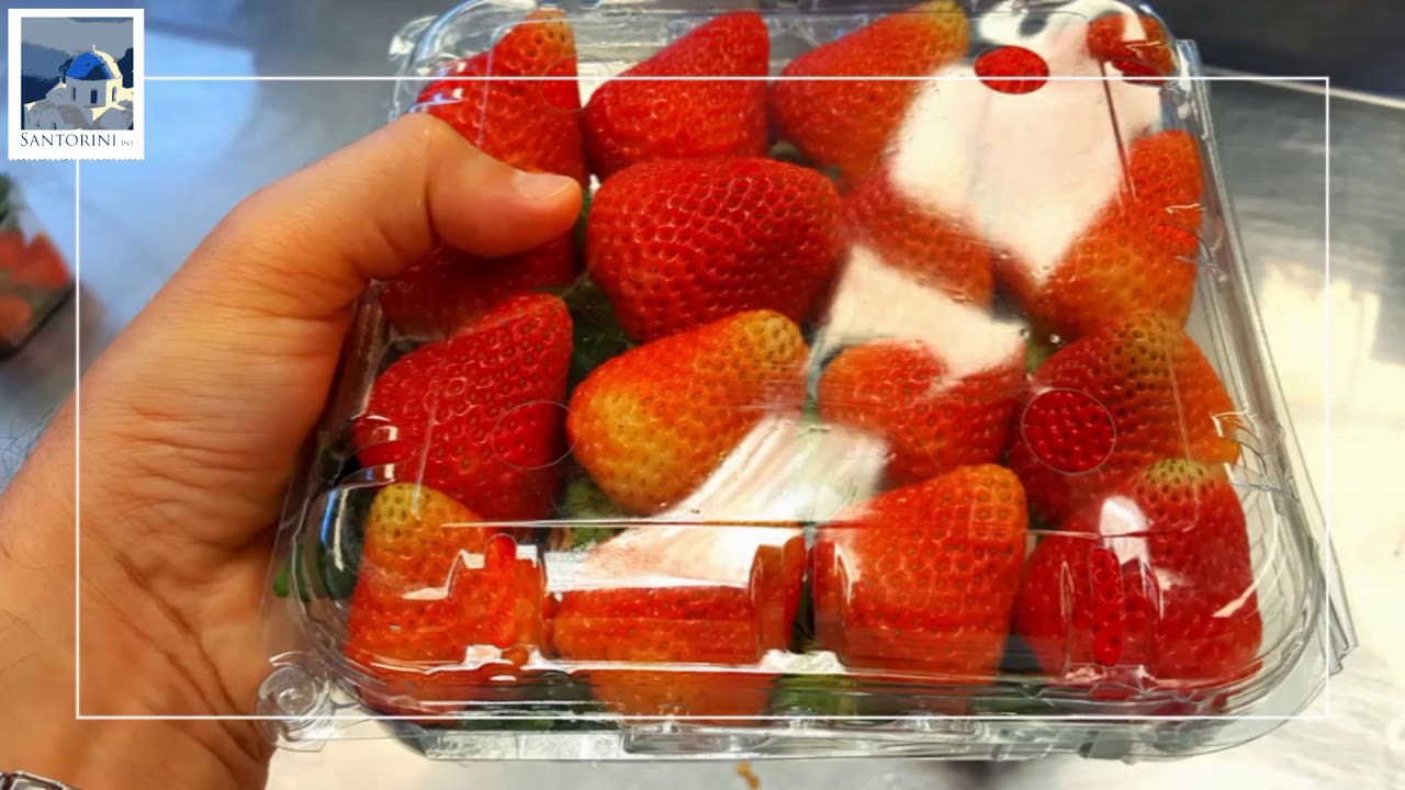 Producción de Fresas en Costa Rica - Variedad San Andreas - YouTube