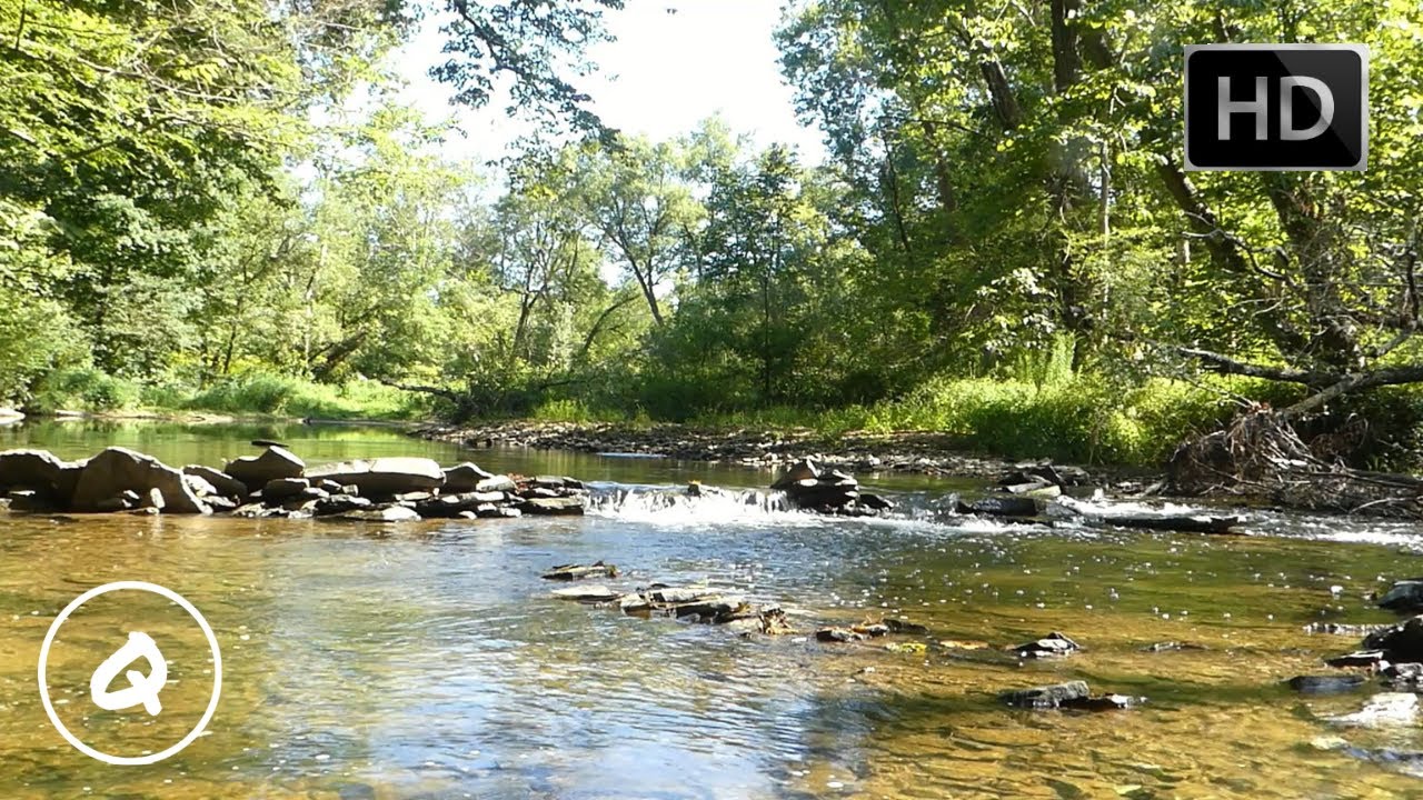 Relaxing Stream in HD | Beautiful HD Nature Video | Forest Sounds ...