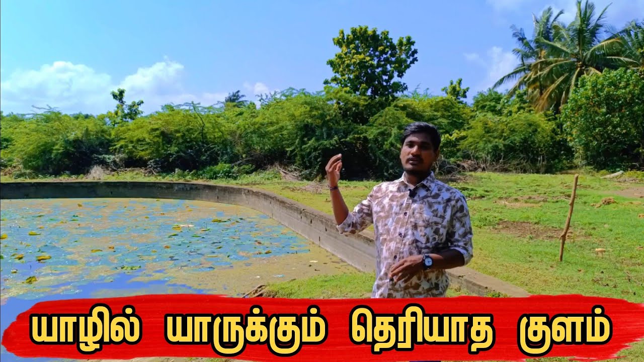 யாழில் மறைந்திருக்கும் அதிசயக்குளம் | வரலாறு தெரியாமல் முளிக்கும் மக்கள் | Thuvarakan | Jaffna ...