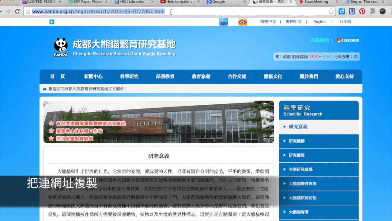How to use Lingro for language learning - YouTube