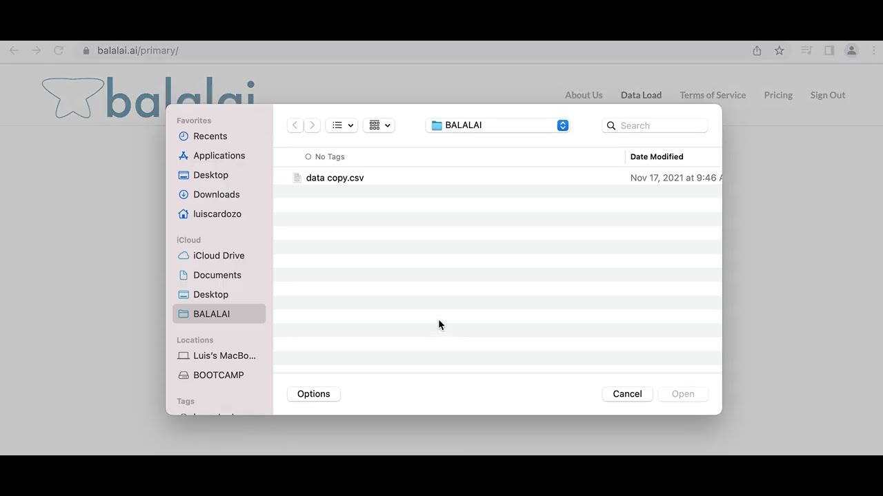 balalai demo - YouTube