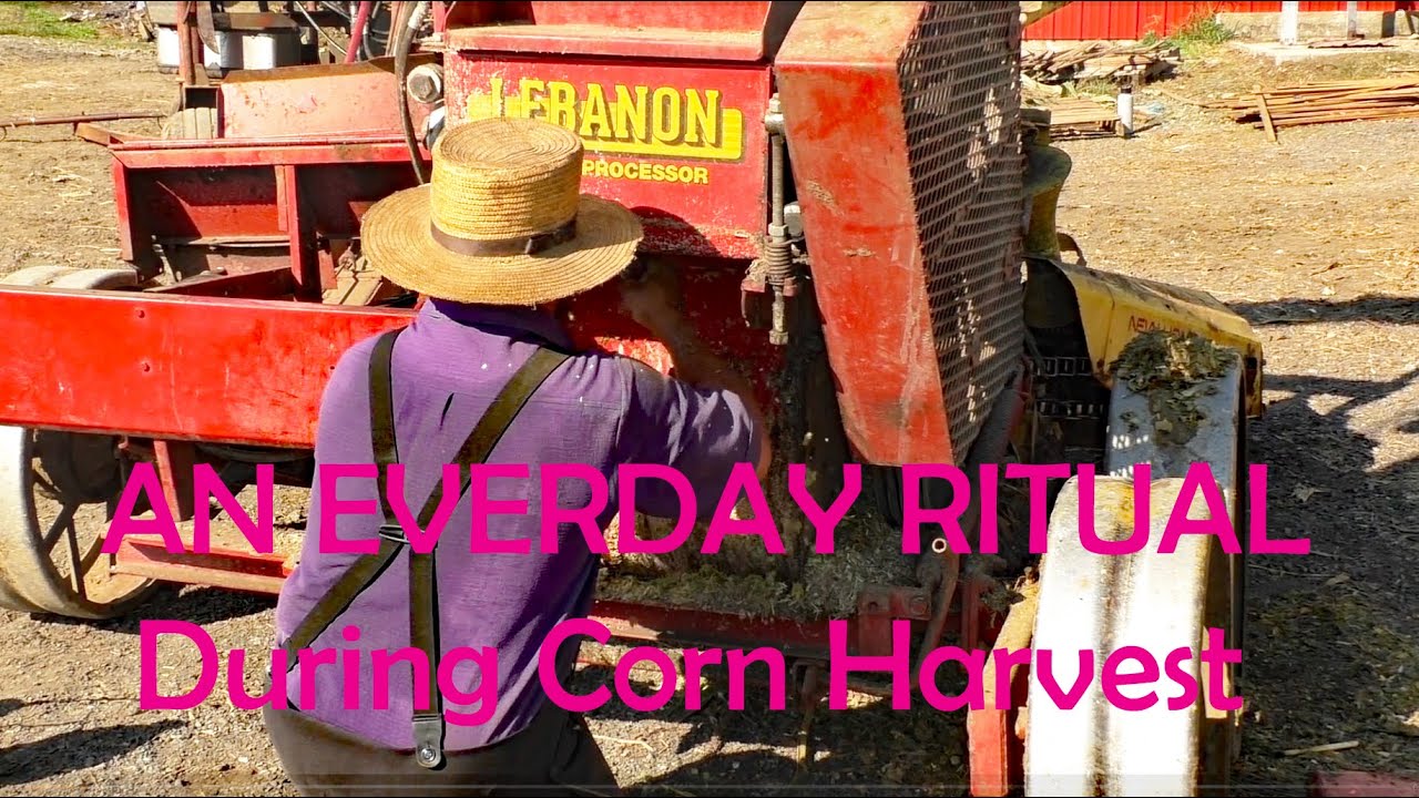 Lancaster OLD ORDER AMISH FARMER Servicing Vintage Corn Chopper and ...