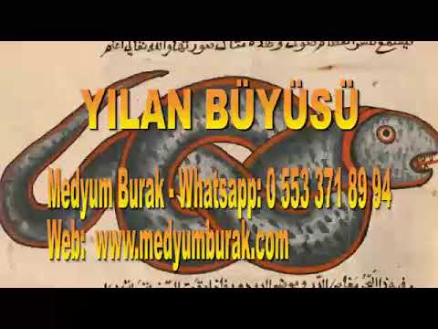 Yılan Büyüsü