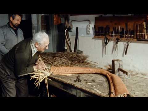 You Won’t Believe What Goes Into Horse Collars (#2)