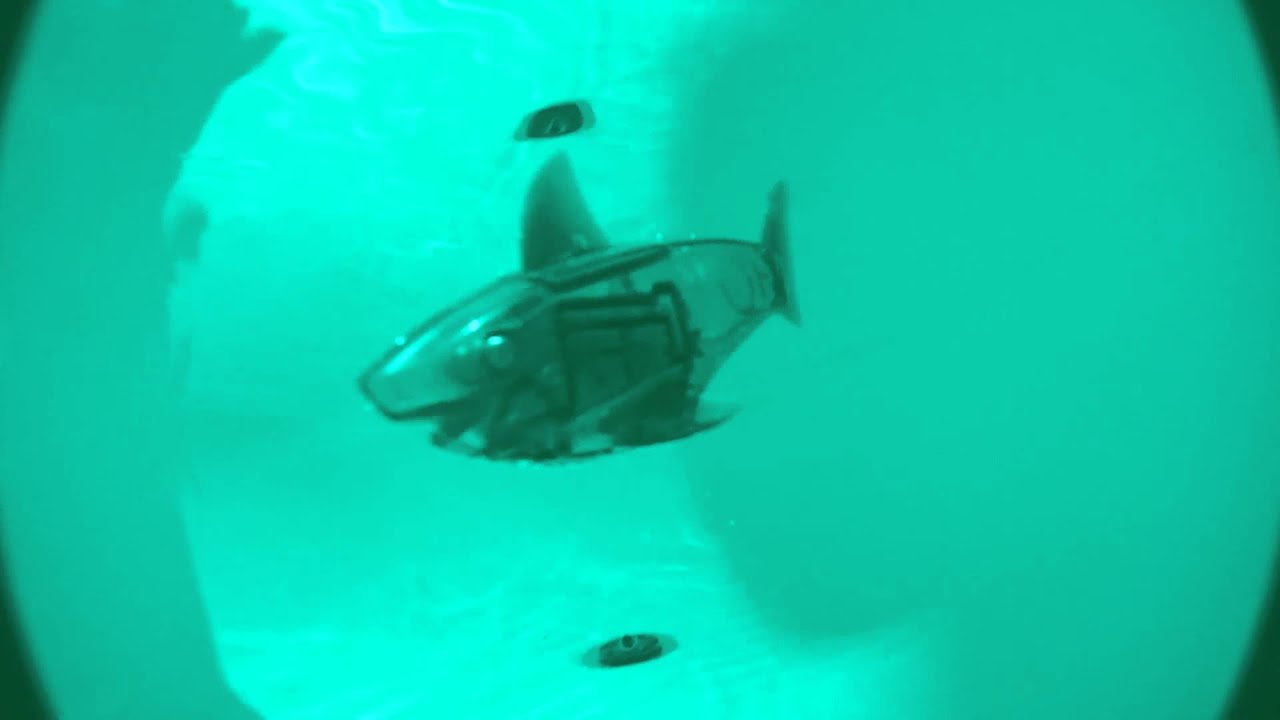 Hexbug Aquabot robo fish takes a swim-underwater cam - YouTube