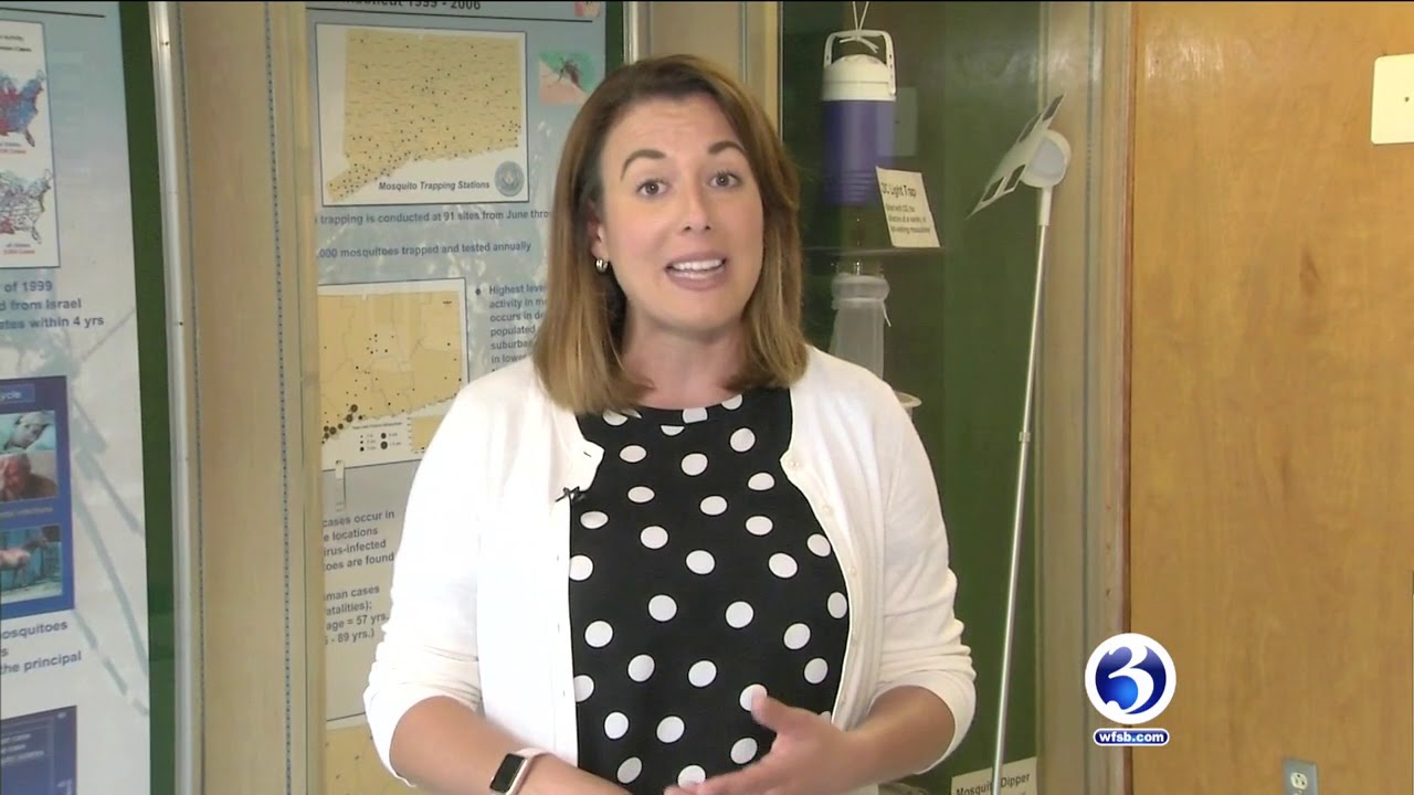 Mosquito-borne virus EEE detected in CT - YouTube