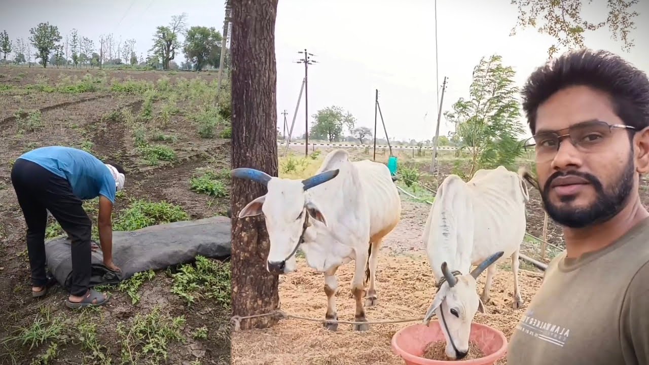 Unbelievable Journey of Two Brothers: Farmer's Story😊 - YouTube