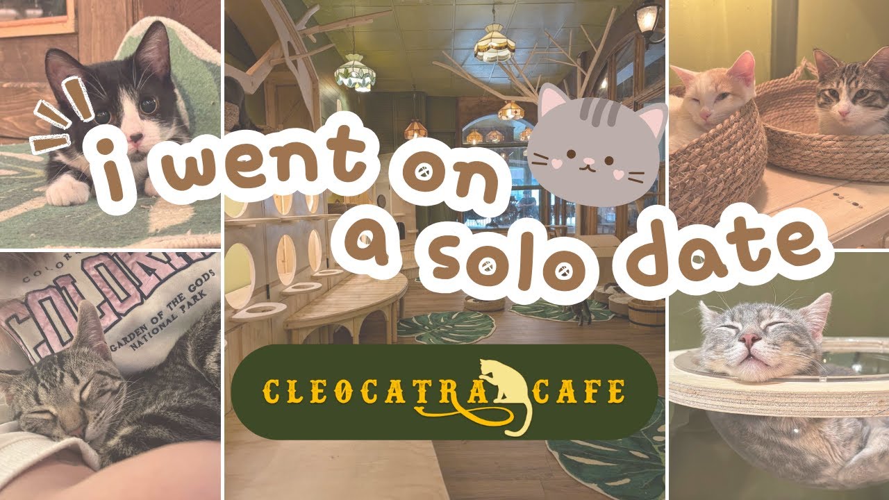 ♡︎・┊ I went on a solo date at the cat cafe - Cleocatra Cafe Osborne ...