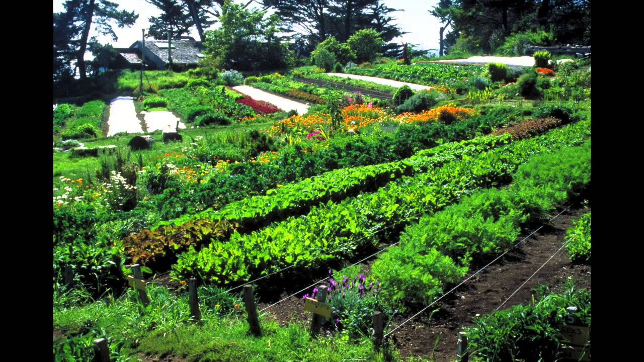 Alternative Farming: Hydroponics - YouTube