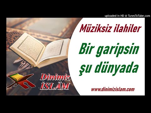 Bir garipsin şu dünyada | Müziksiz ilahiler