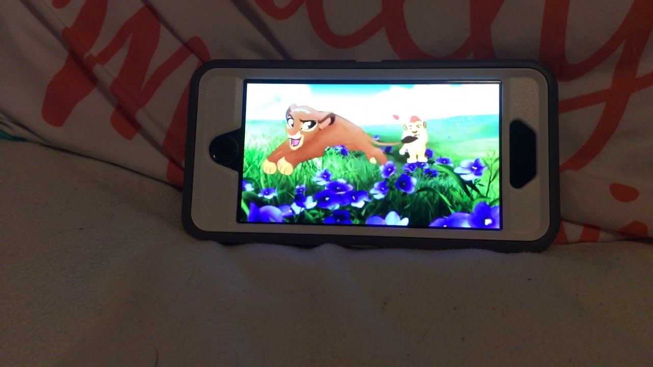 Healthy cat’s pal kion is fully grown! - YouTube