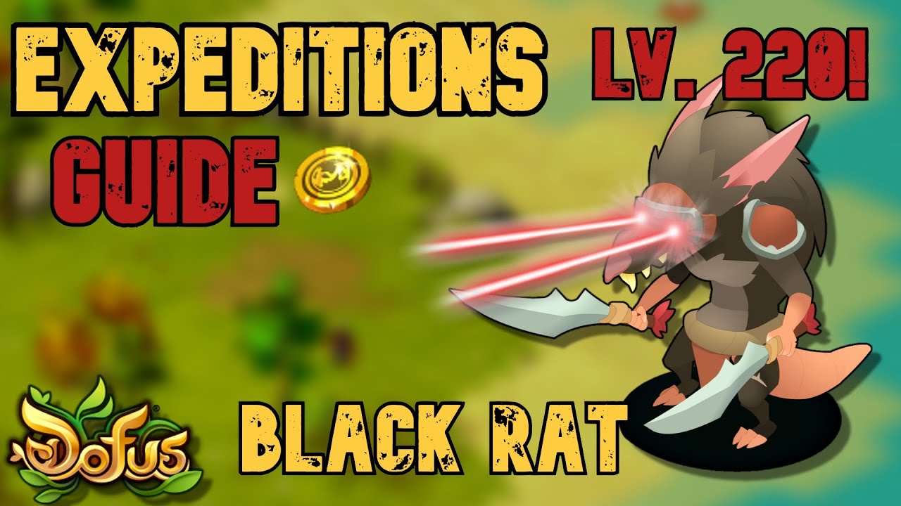 DOFUS - EXPEDITIONS - Black Rat! [ 8 loot ] - YouTube