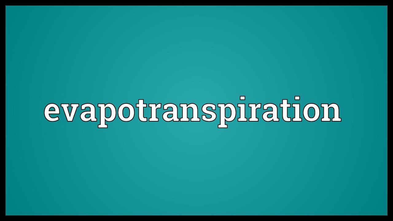 Evapotranspiration Definition