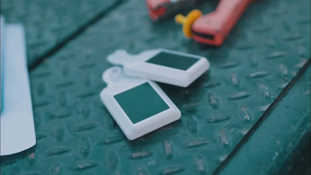 701x Cattle Management System - xTpro & App - YouTube