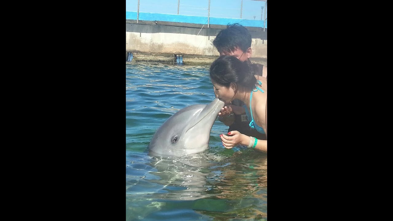 CUBA "LISTEN Dolphins Singing" Captured by Bonica Sony Action Cam ...